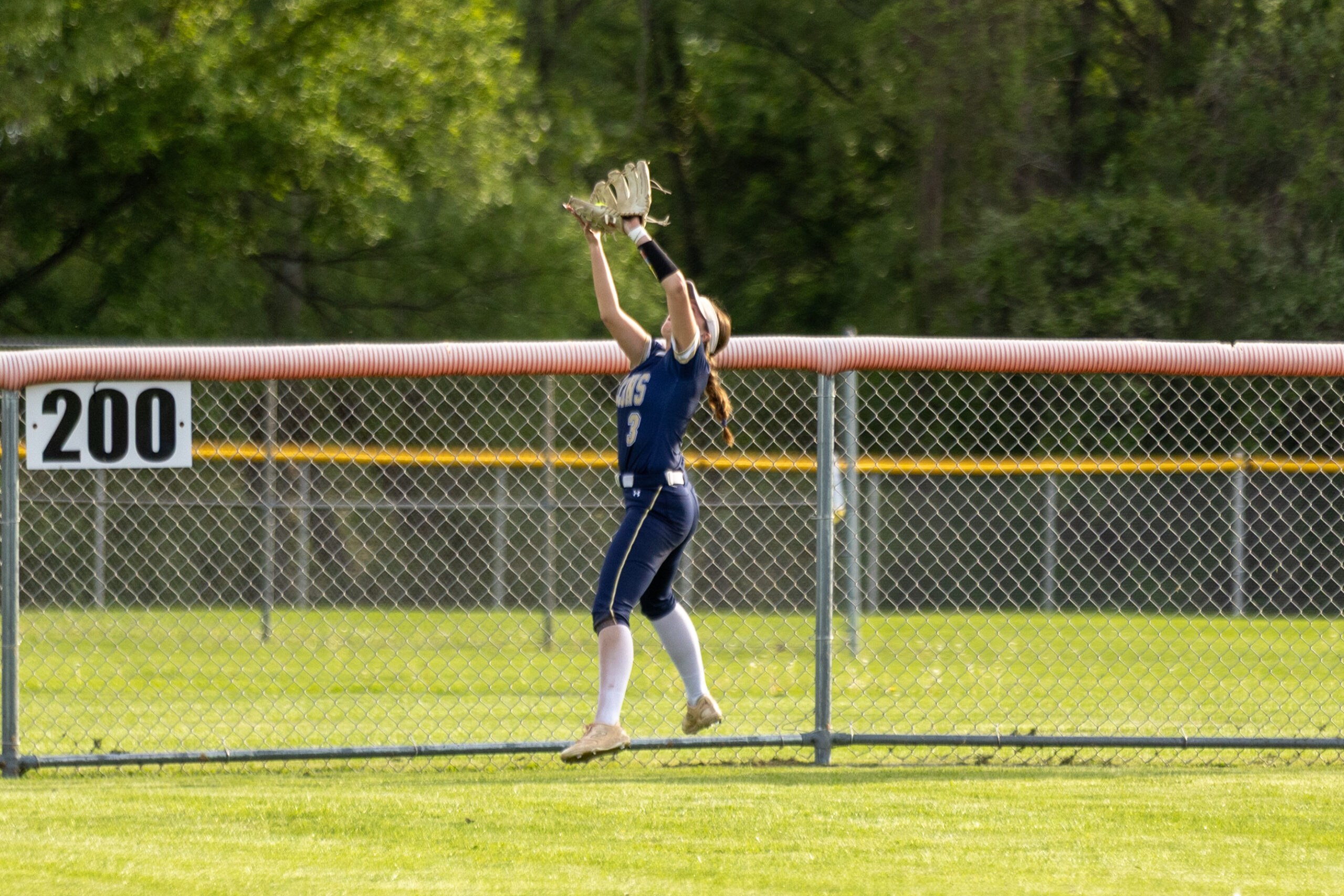Game-saving catch sends Falconer to final | News, Sports, Jobs - Post ...